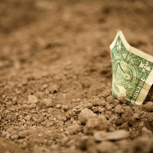 Goodbye Dollar, It Was Nice Knowing You! — Strategic Culture