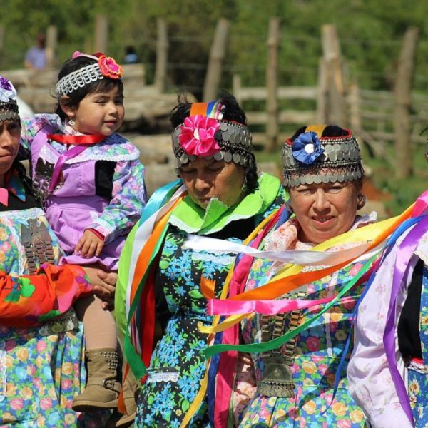 The Mapuche Resistance Is Central to Chile’s Political Change ...