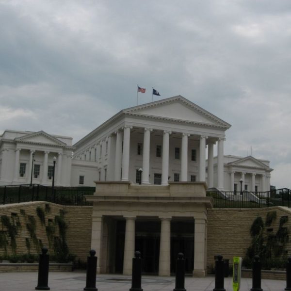 The Virginia 2A Protest is the model for Counter Color Revolution ...