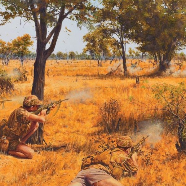 Rhodesians never die: NATO’s mercenary zombies jive on — Strategic Culture