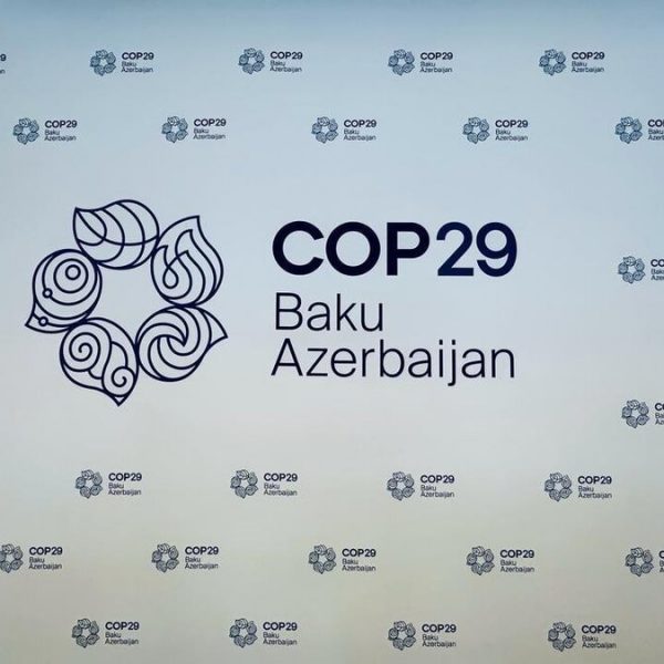 Il fallimento della COP29: l’Agenda verde ha un futuro? — Strategic Culture